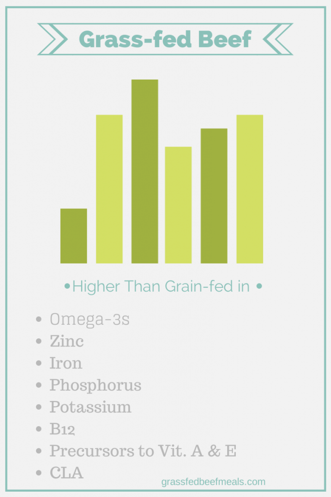 grass-fed-vs-grain-fed - Full Sircle Farms